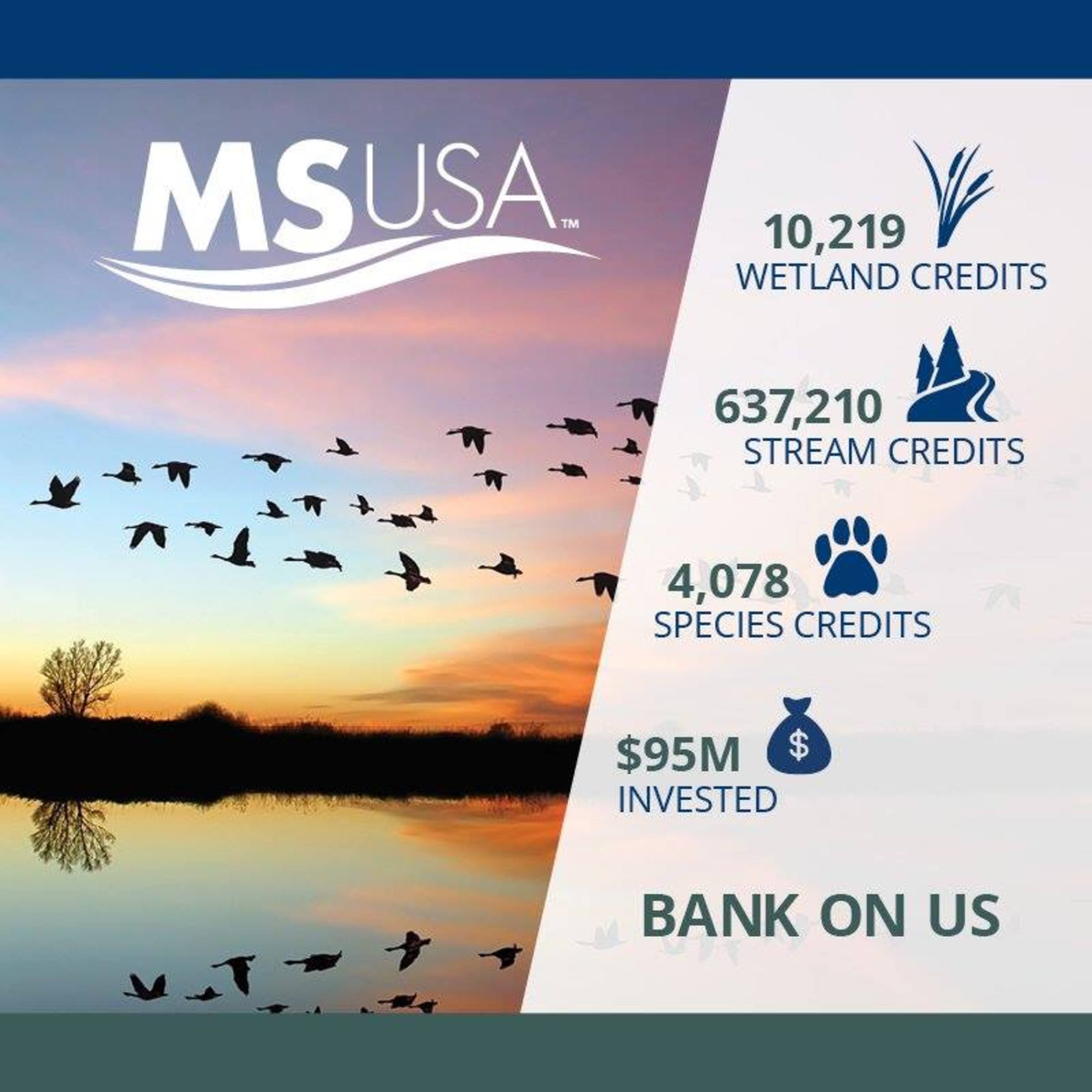 Mitigation Solutions USA LLC