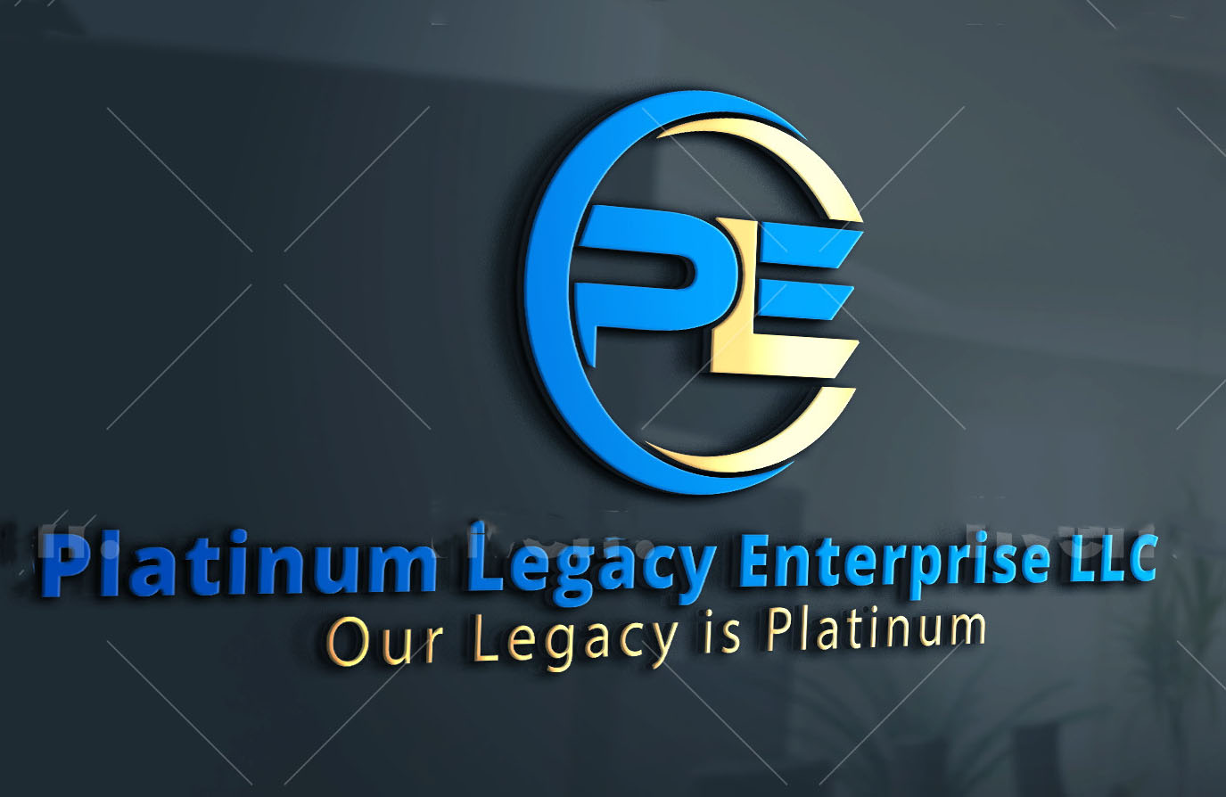 Platinum Legacy Enterprises, LLC
